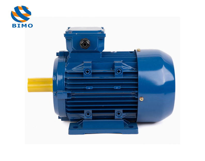 IP55 Asynchronous 3 Phase Motor B3 Mounting Aluminium Housing MS ...